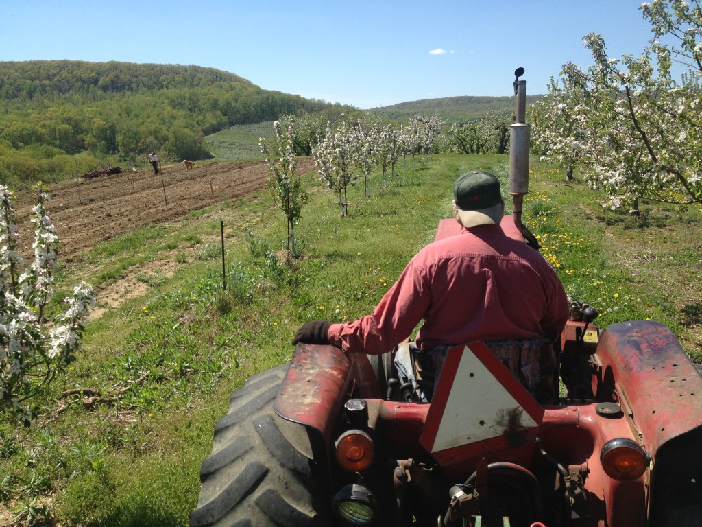 Frecon Farms leads PA's cider revolution - Keystone Edge - What's Next ...